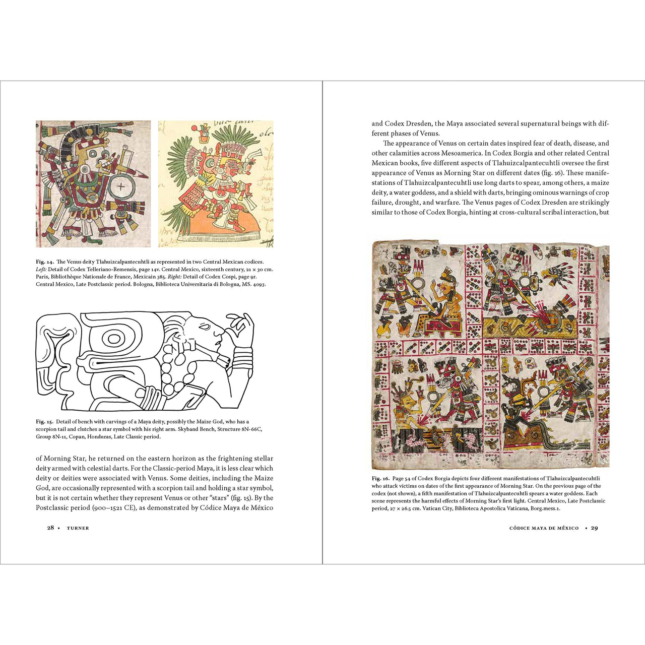 Códice Maya de México: Understanding the Oldest Surviving Book of the ...