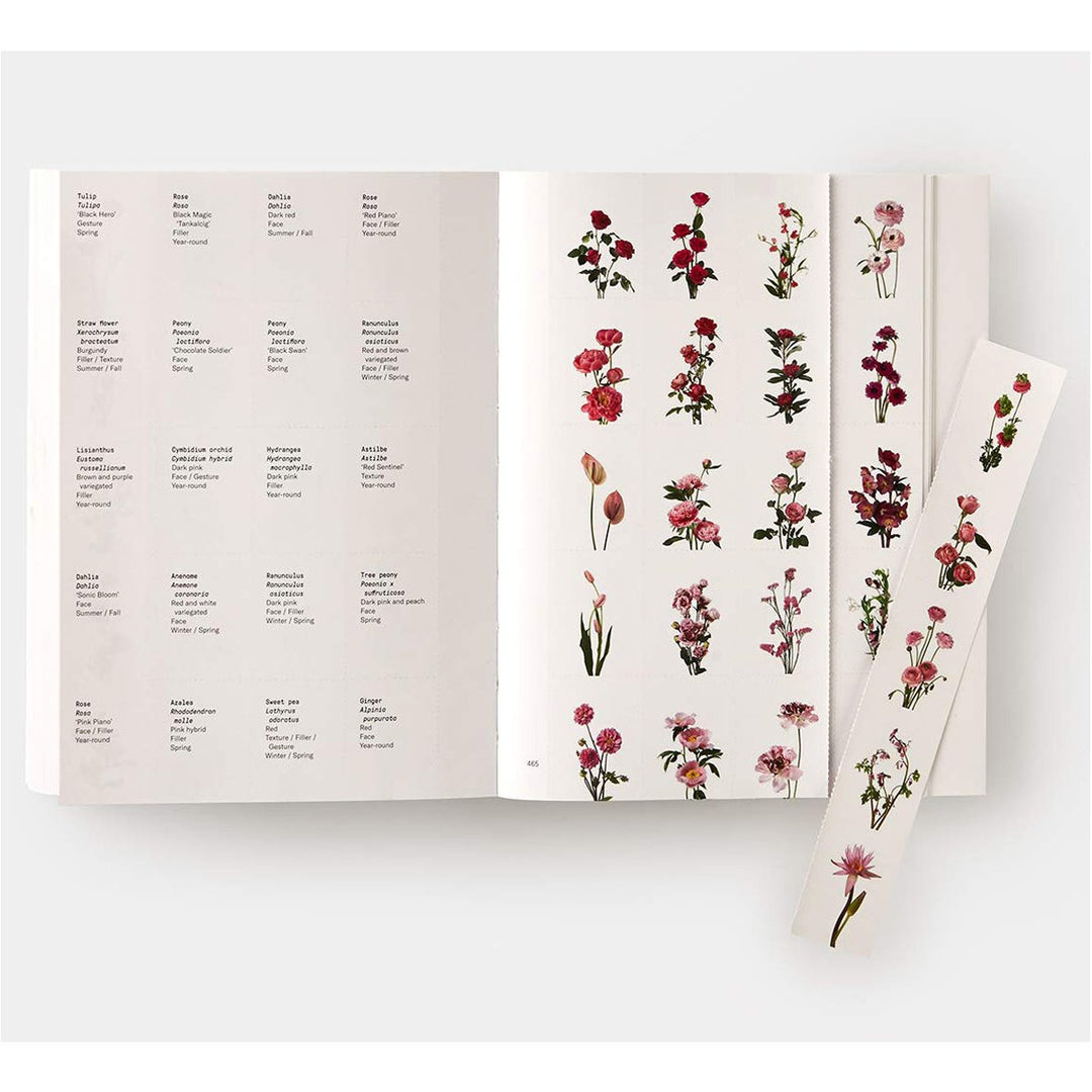 Flower Color Guide – LACMA Store